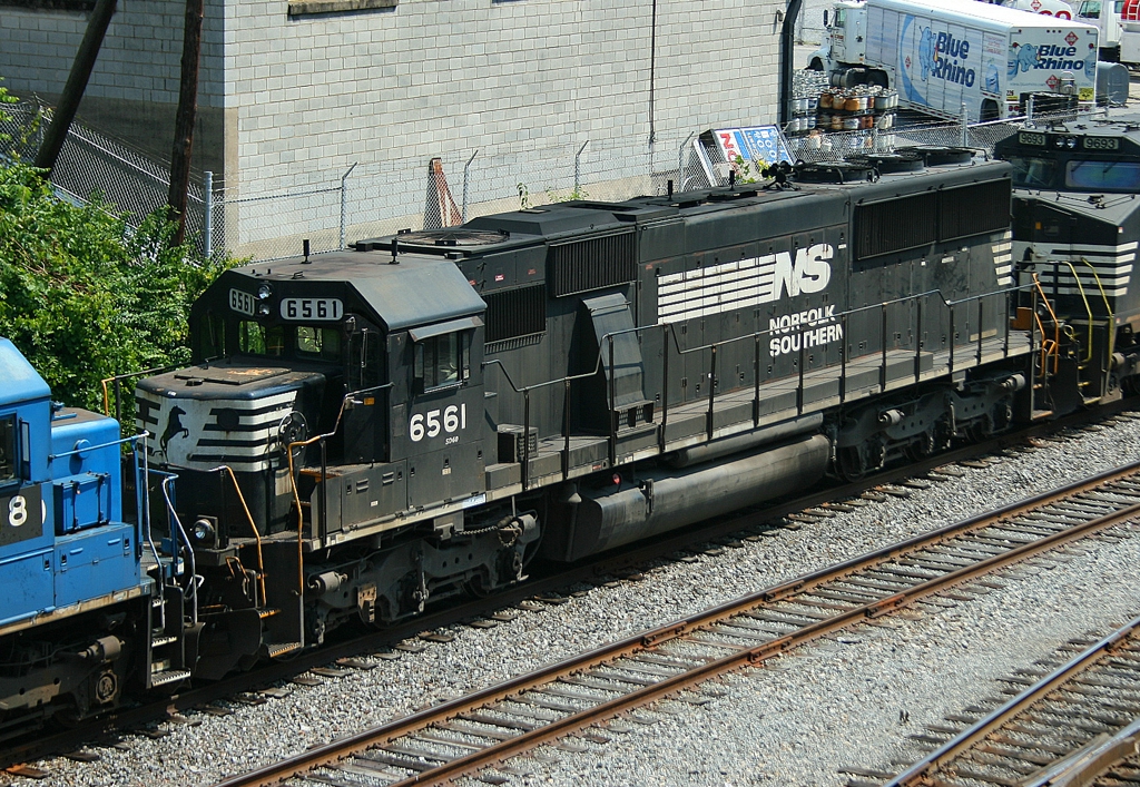 NS 6561